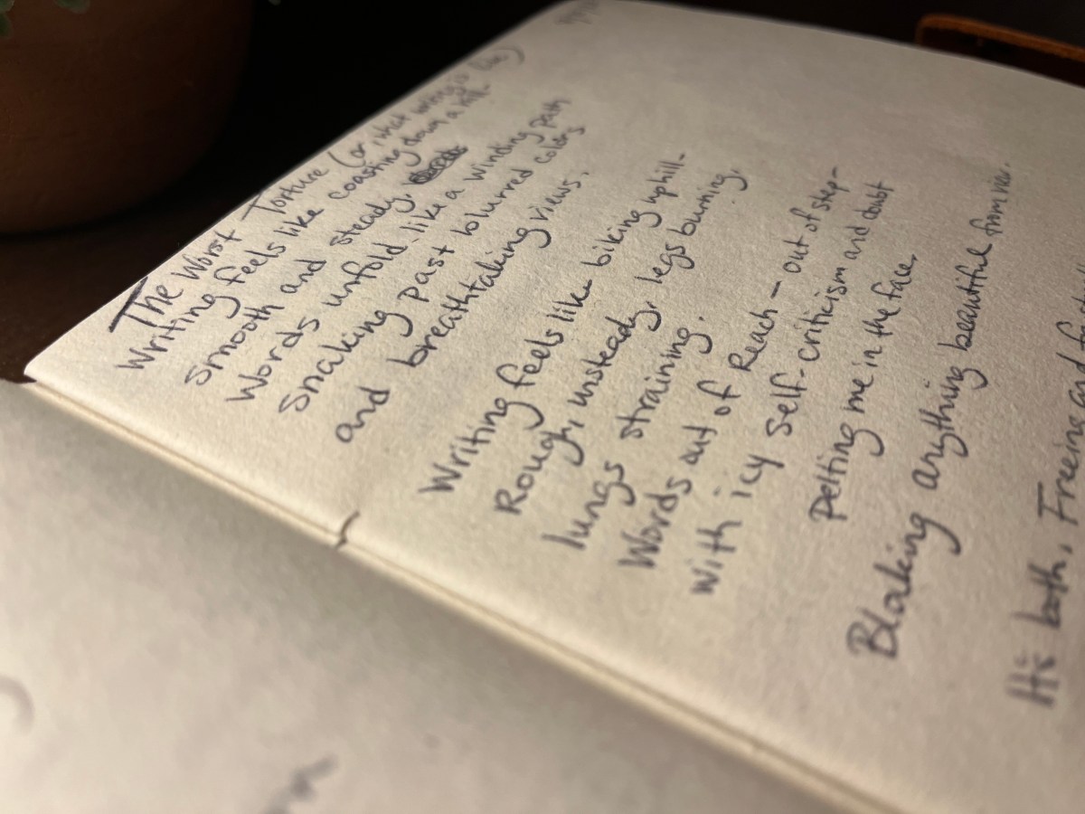 The Worst Torture (Or, What Writing Is Like) – Mary Holloman